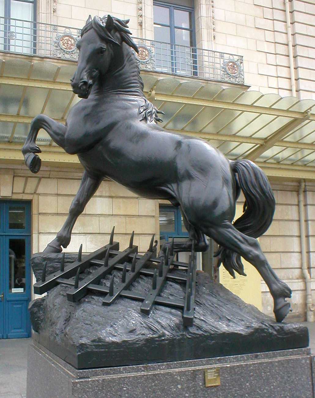 Unmasking Zorro - Open Ends